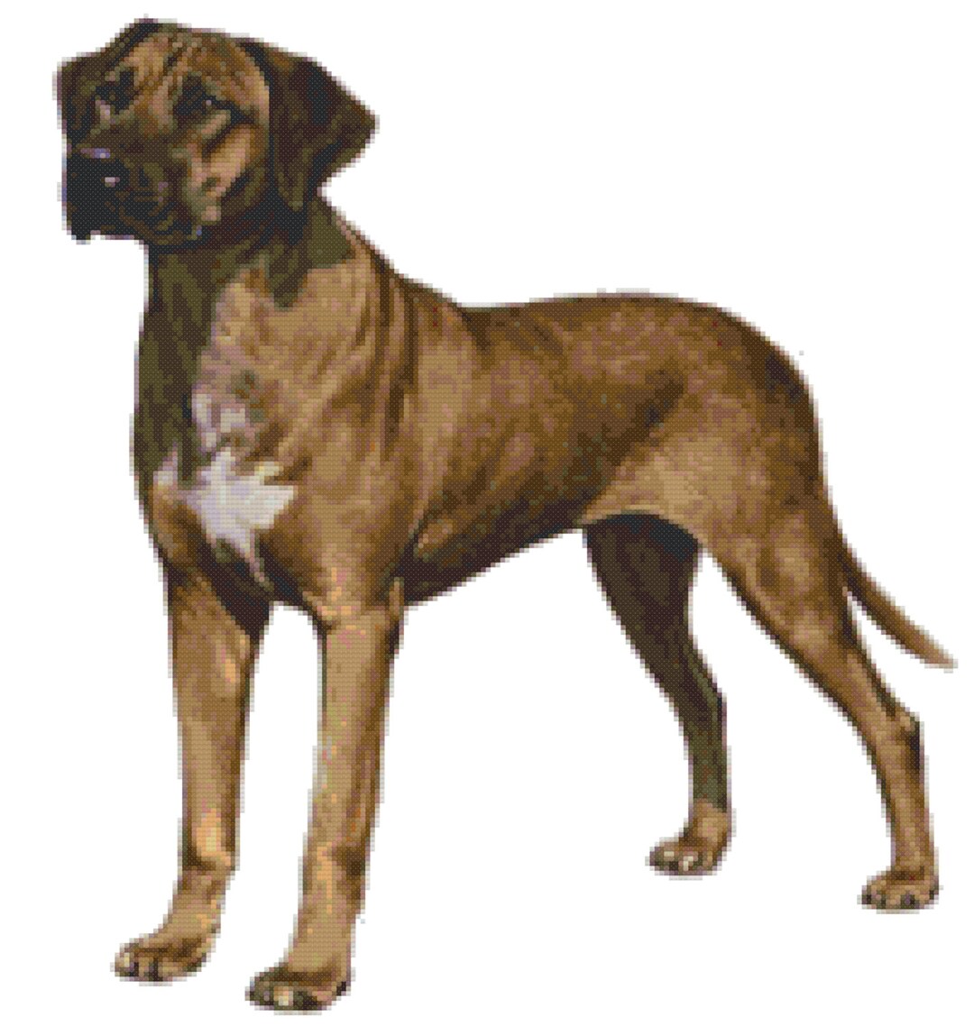 Rhodesian Ridgeback Dog Counted Cross Stitch Pattern - Etsy
