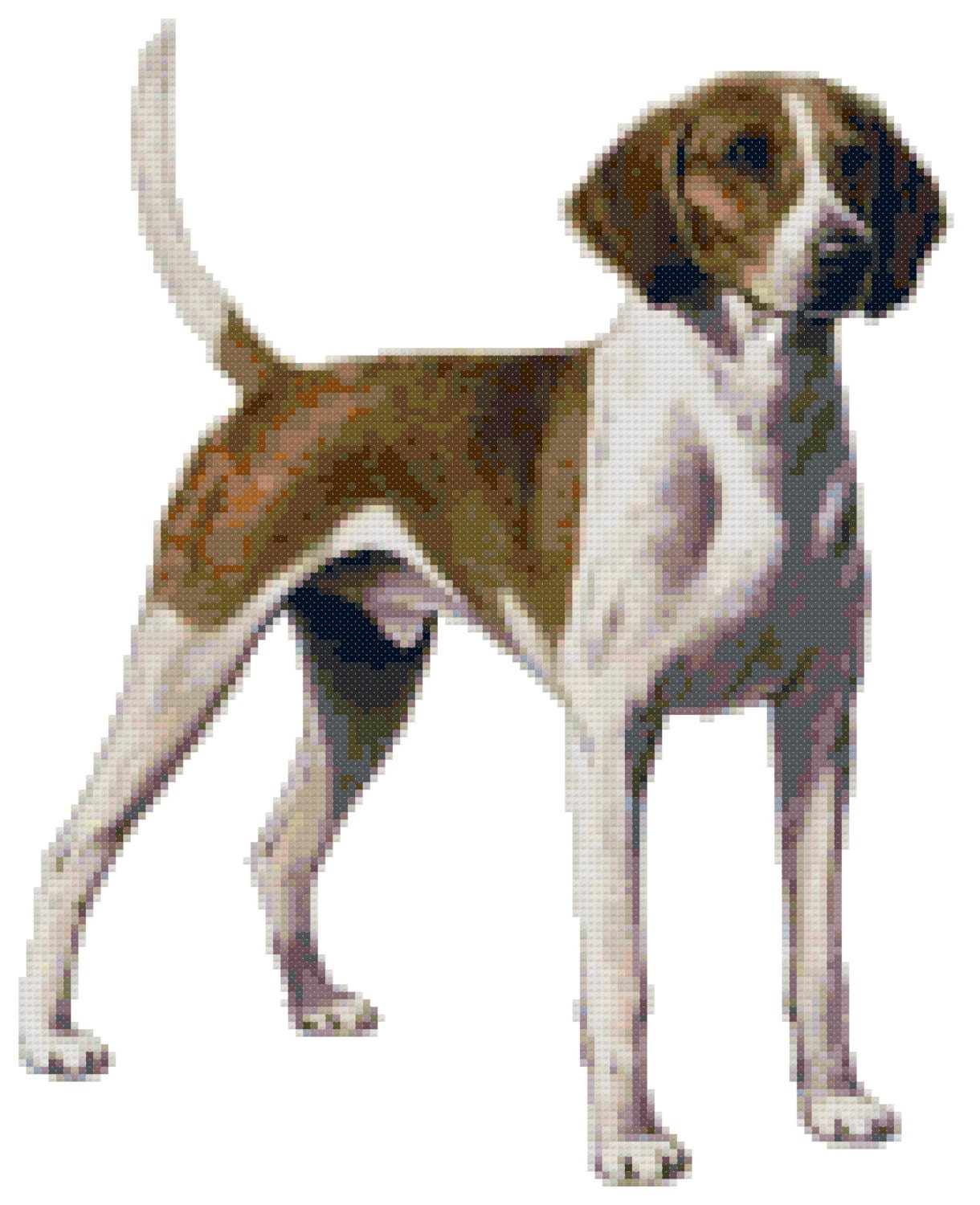 American Foxhound German Shepherd Mix