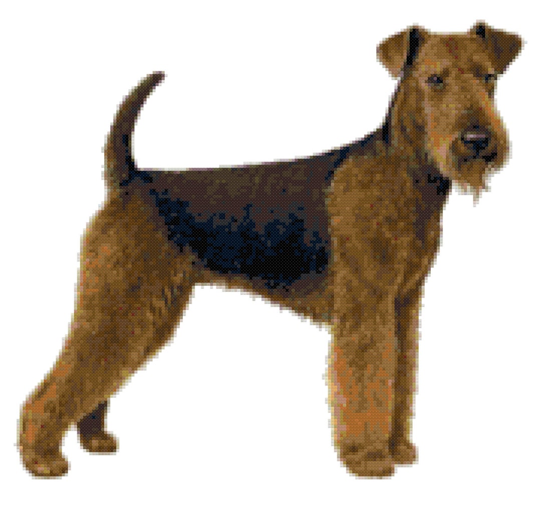 Airedale Terrier Dog Counted Cross Stitch Pattern - Etsy