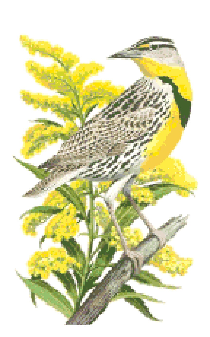 Nebraska State Bird & Flower Counted Cross Stitch Pattern - Etsy