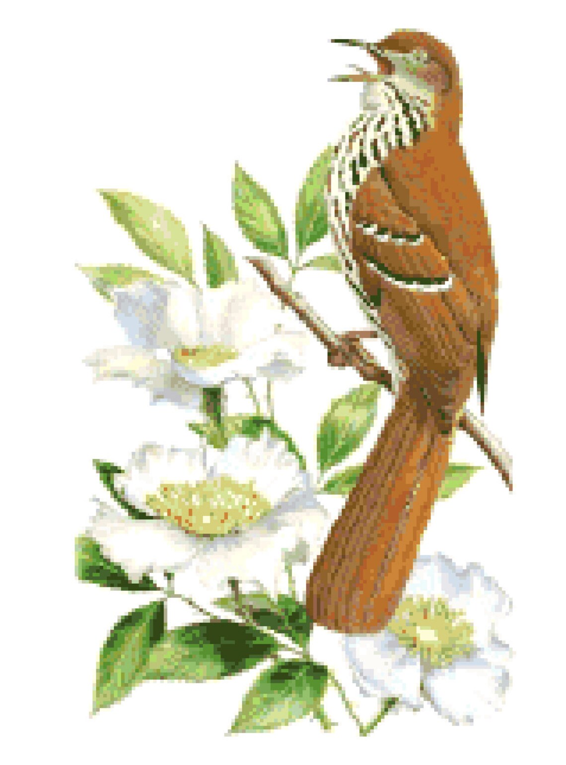 Georgia State Bird & Flower Counted Cross Stitch Pattern - Etsy