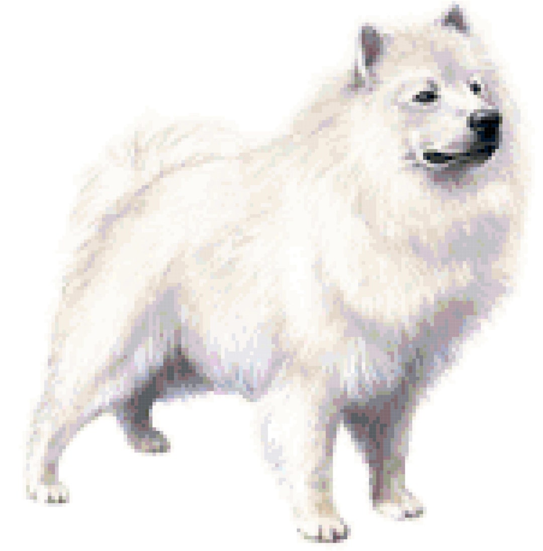 American Eskimo Dog Counted Cross Stitch Pattern - Etsy