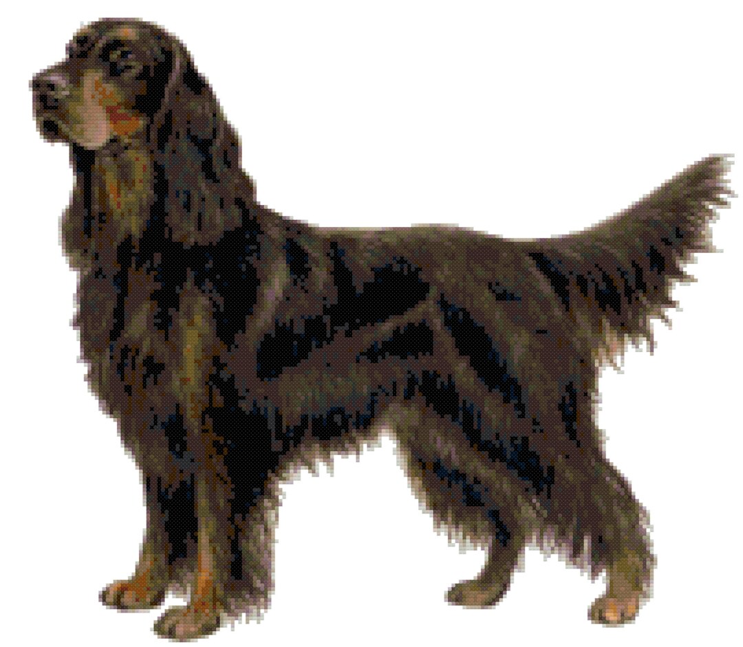 Gordon Setter Dog Counted Cross Stitch Pattern - Etsy