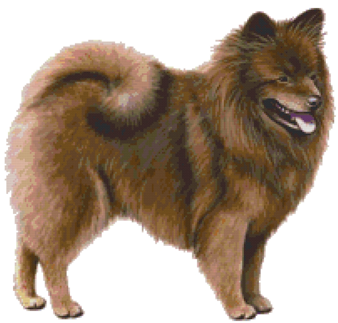 German Spitz Dog Counted Cross Stitch Pattern - Etsy