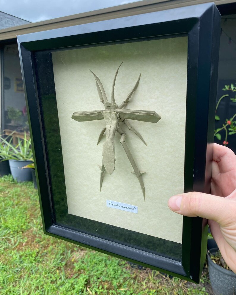 Origami Plume Moth Diagrams - Etsy