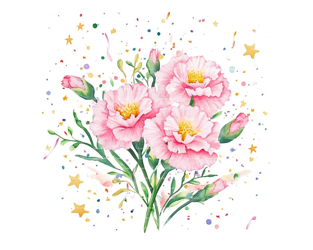 Carnation Birth Month Flower Bouquet Clipart January Birthday PNG for ...