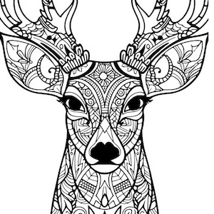 Zentangle Serenity Designs Vol 1/mandala/stress Relief Coloring Pages ...