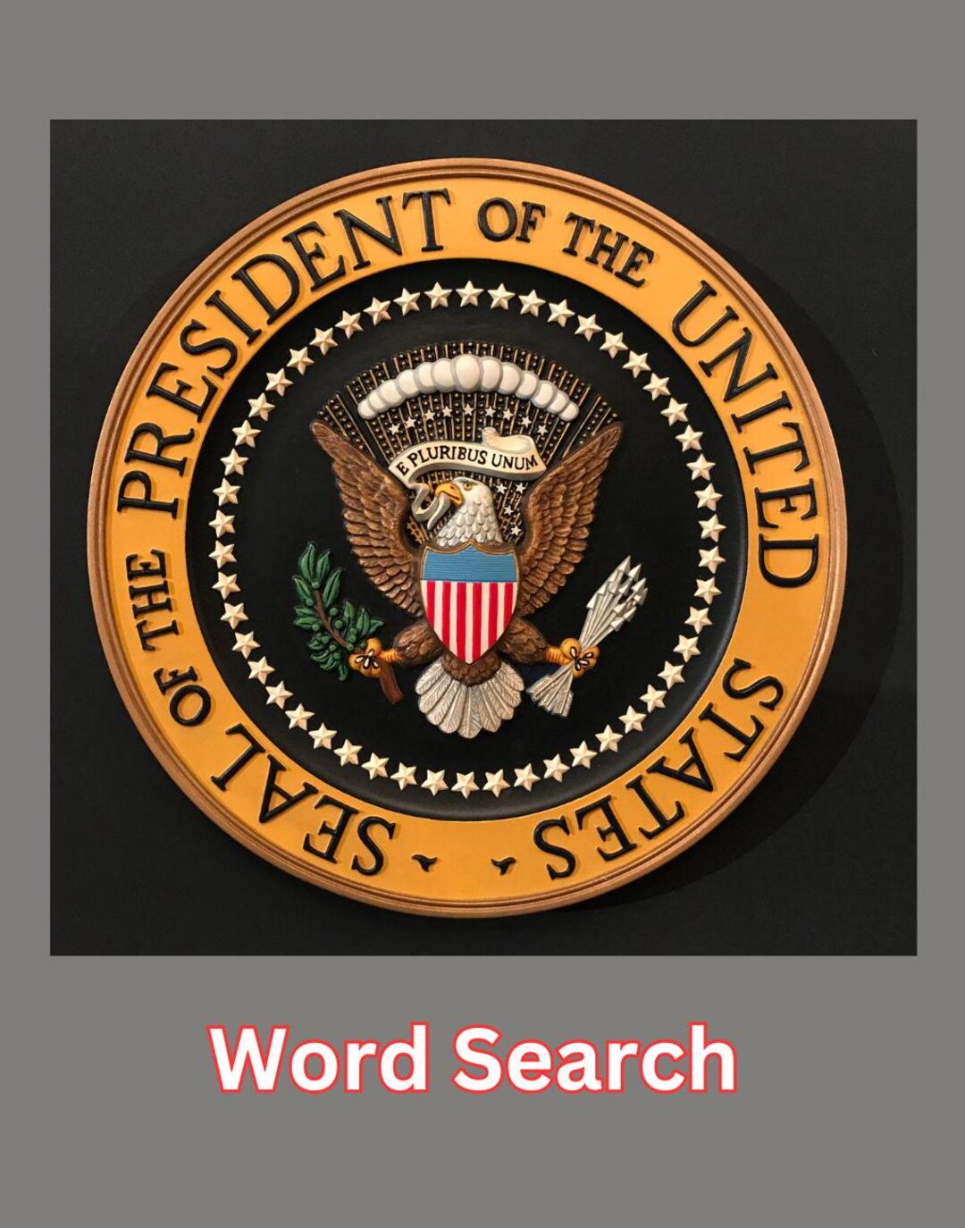 US President Word Search/educational Puzzle Book - Etsy
