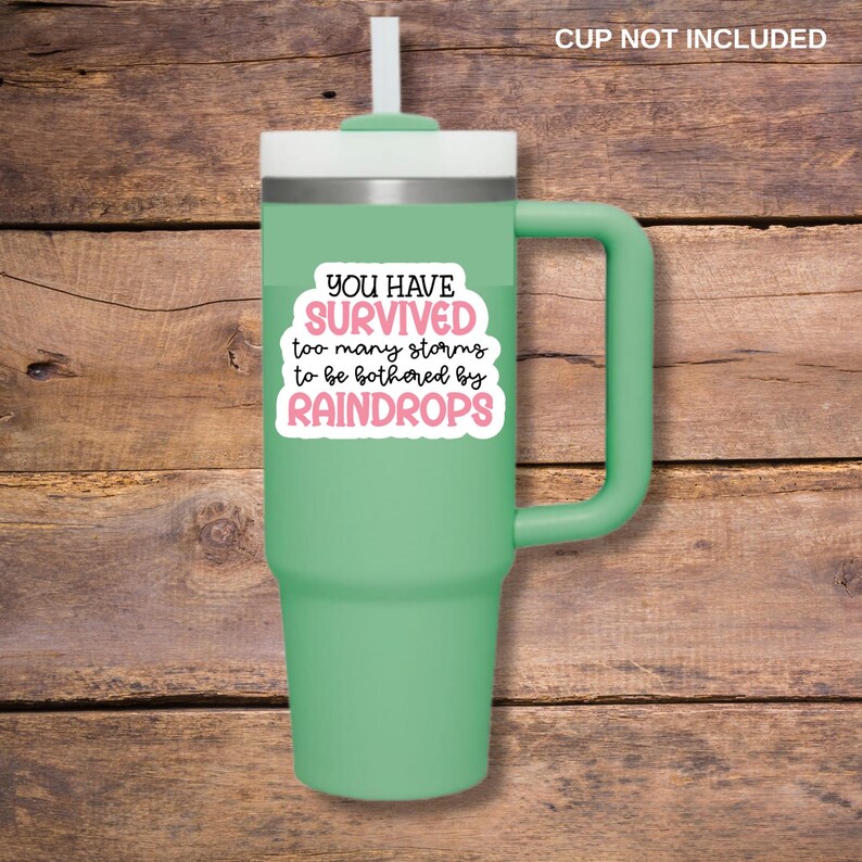 Survived Too Many Storms Sticker, Positive Affirmation Sticker for Self ...