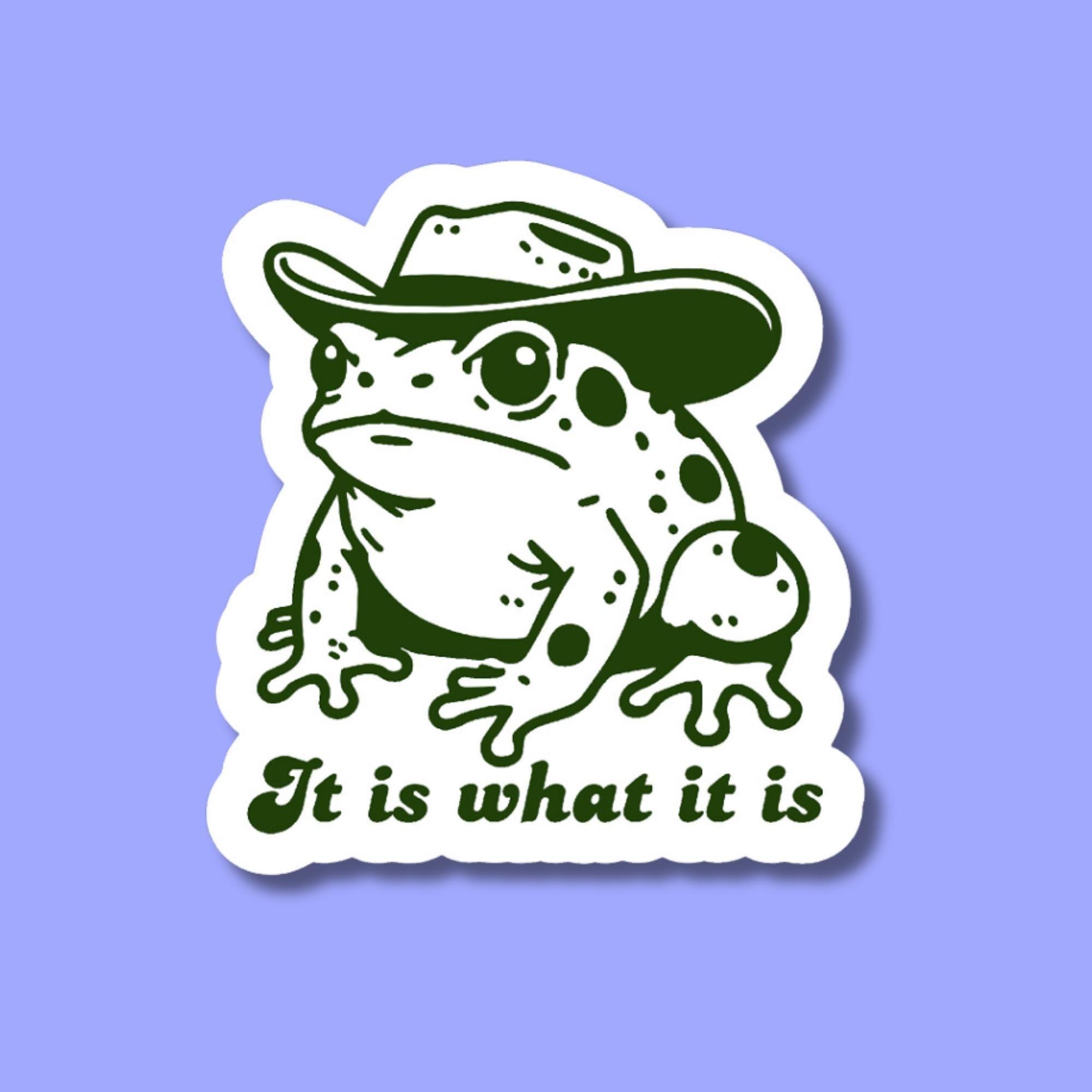 It is What It is Sticker, Funny Frog Meme Sticker, Holographic Vintage ...