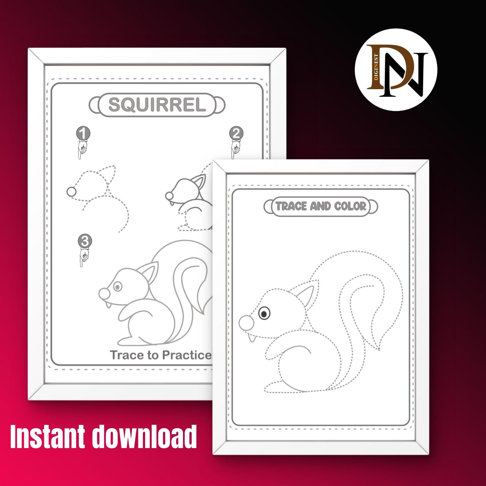 How to Draw: Easy Drawing and Basics of Everything for Beginners, Best ...