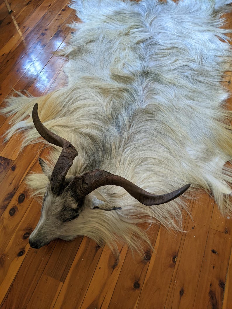 Billie Goat Head Rug Genuine Tanned Hide Rug With Real Mounted Goat ...
