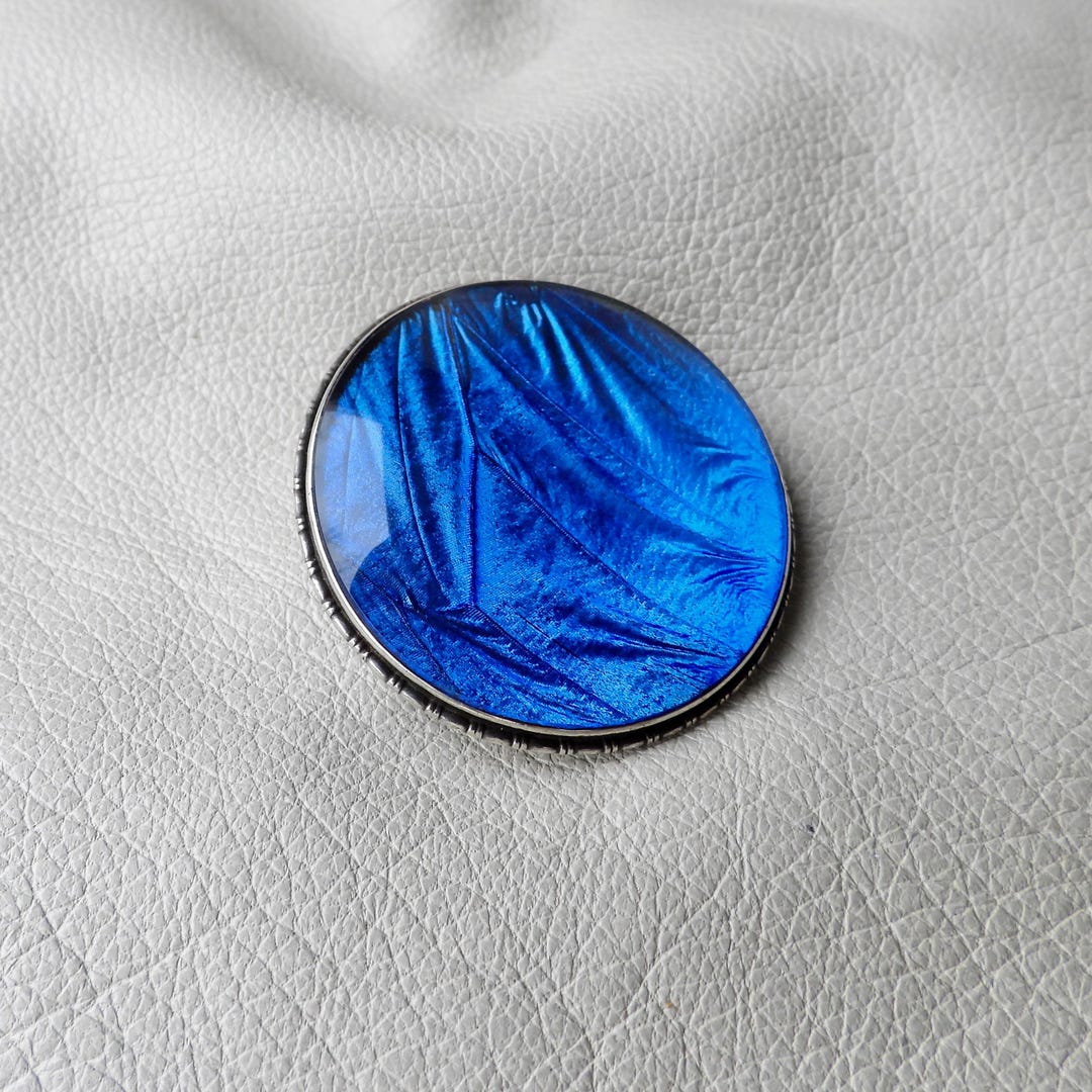 Vintage Morpho Butterfly Wing Pin: Sterling Silver Brooch - Etsy