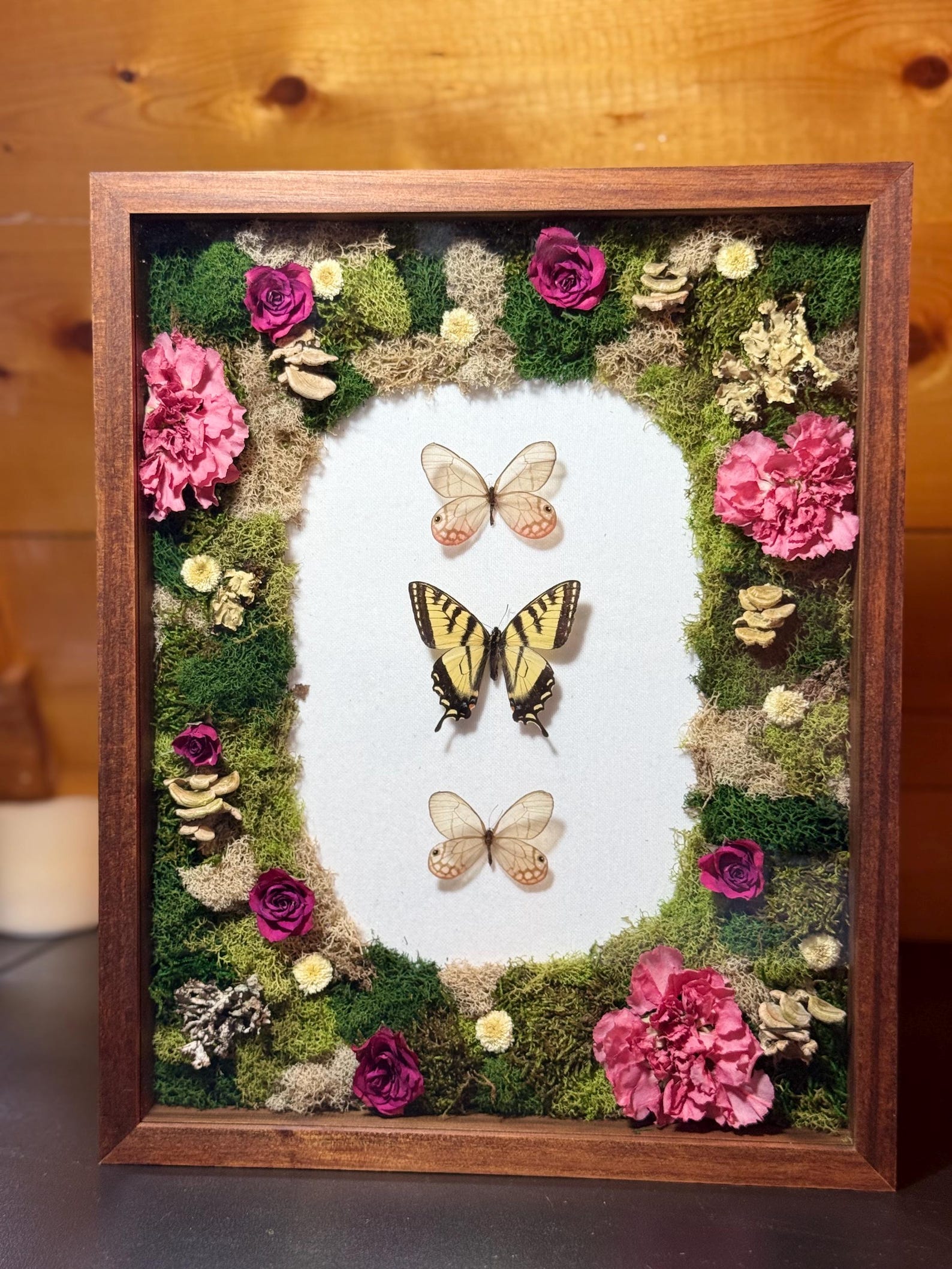 Real Butterfly Frame With Flowers – Swallowtail & Pink Glasswing ...