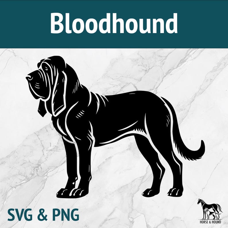 Bloodhound SVG - Dog Breeds Silhouette PNG Vector Clipart - Laser Cut ...