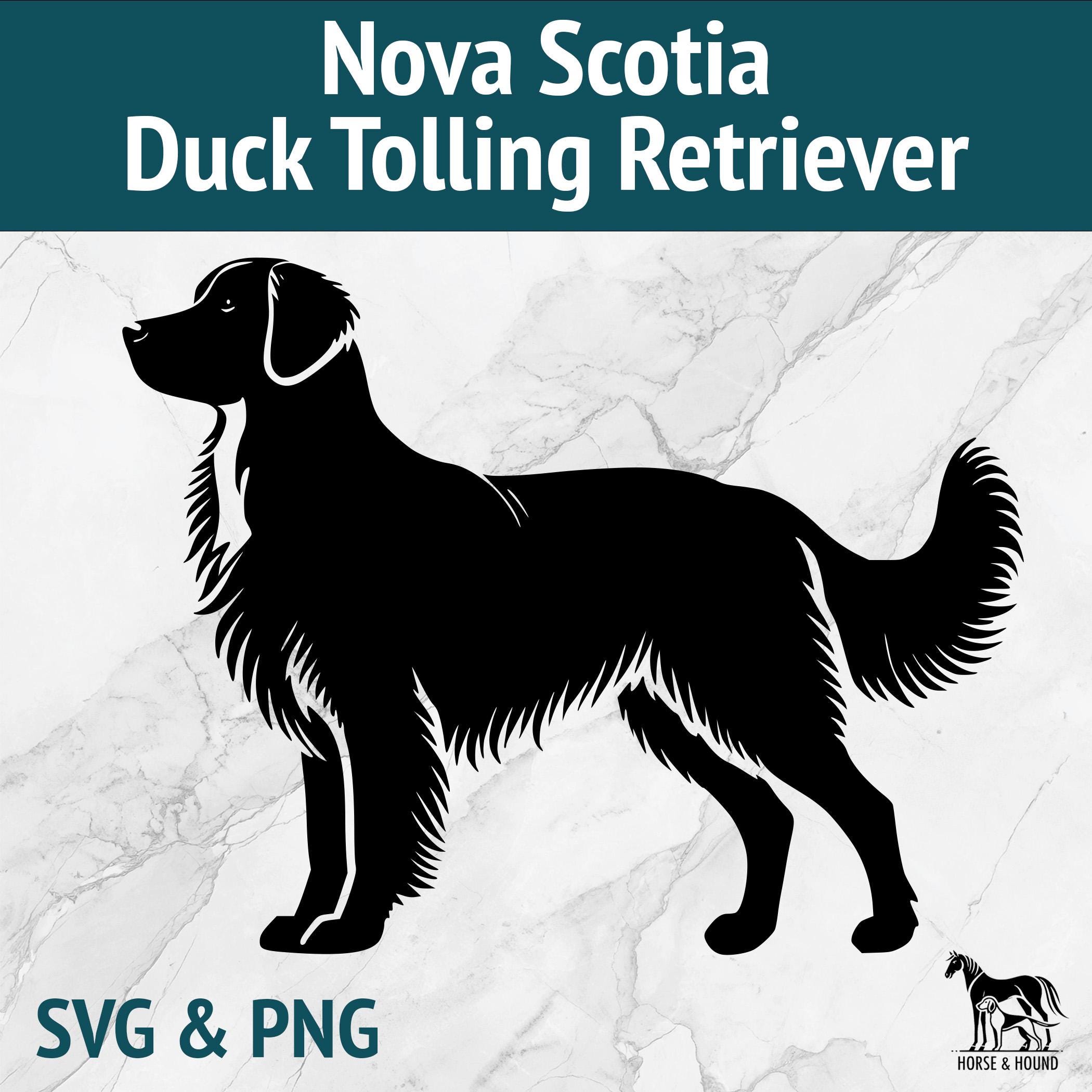 Toller SVG: Nova Scotia Duck Tolling Retriever Silhouette (digital ...