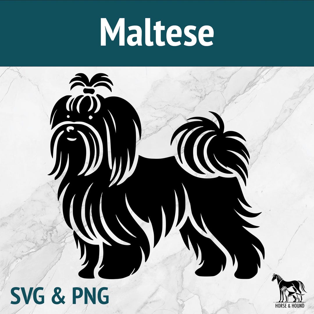 Maltese SVG - Dog Breeds SVG - Silhouette PNG Vector Clipart - Laser ...