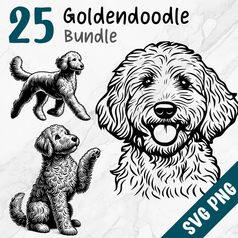 Goldendoodle SVG Bundle: Dog Breed Vector Clipart (25 Designs) - Etsy