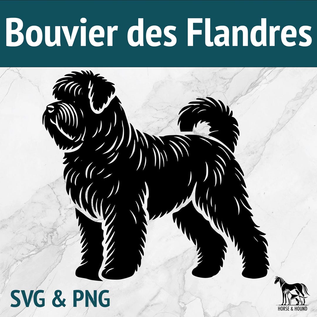 Bouvier Des Flandres SVG - Dog Breeds Silhouette PNG Vector Clipart ...