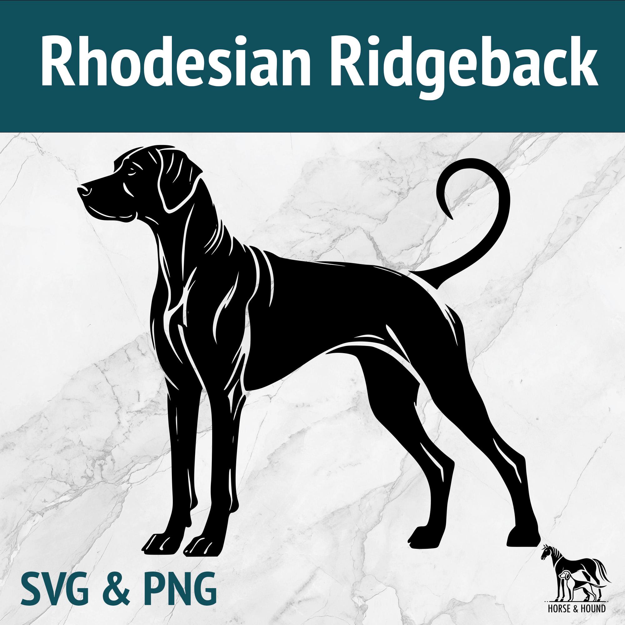 Rhodesian Ridgeback SVG Dog Breeds Silhouette PNG Vector Clipart Laser ...