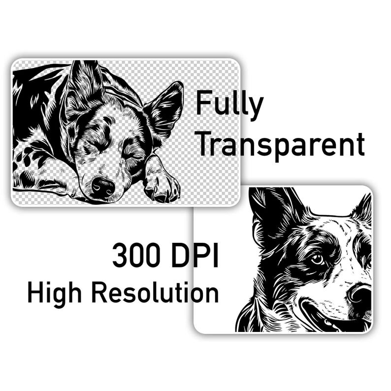 Blue Heeler SVG Bundle: Australian Cattle Dog Vector Clipart (25 Files ...