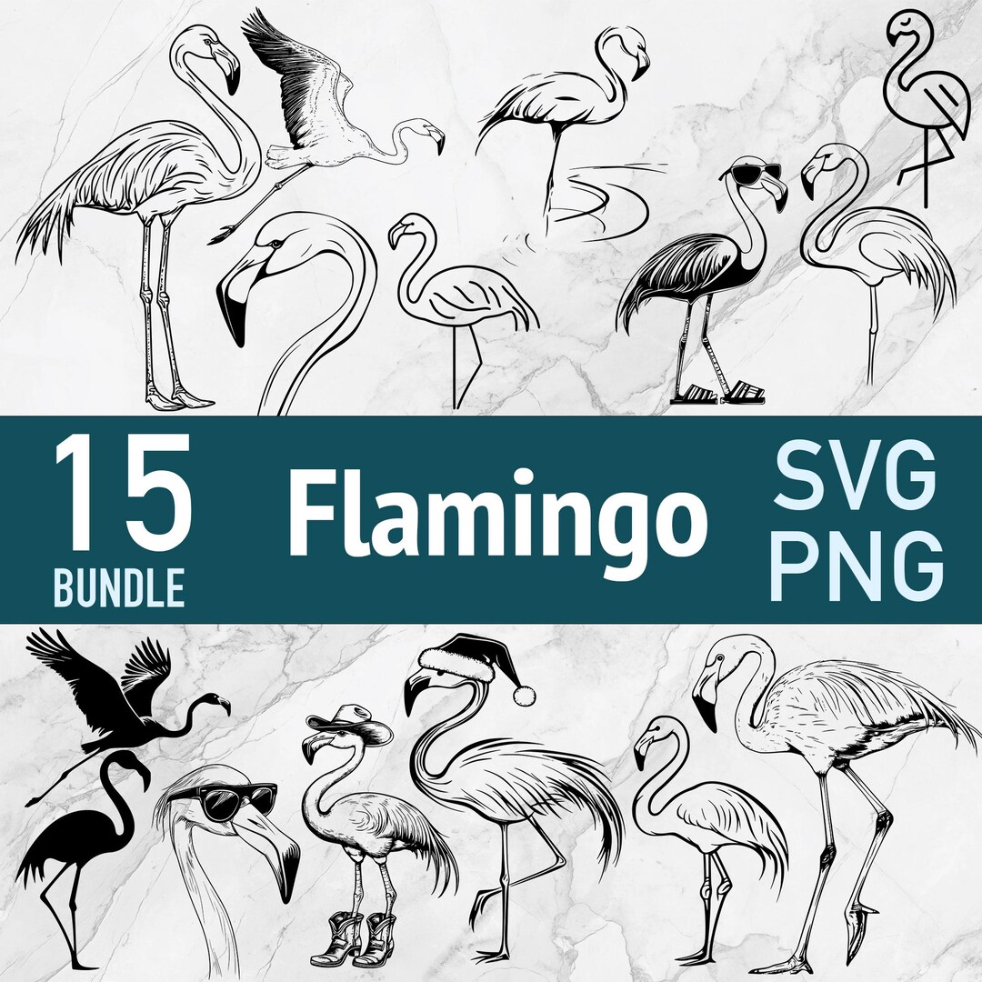 Flamingo SVG Laser Cut File Bundle: Tropical Bird Designs (15 Files) - Etsy