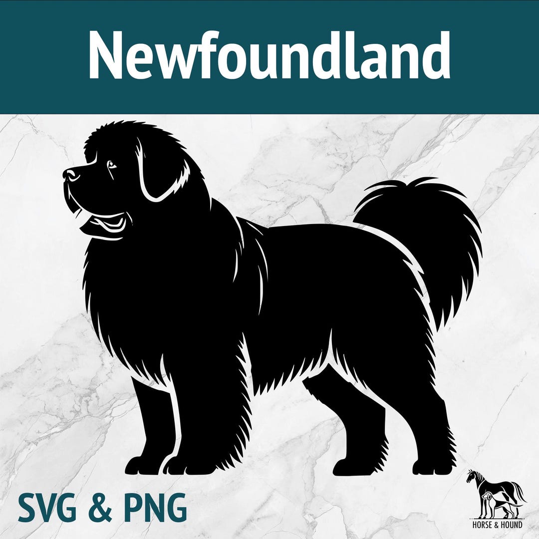 Newfoundland SVG - Dog Breeds SVG - Silhouette PNG Vector Clipart ...