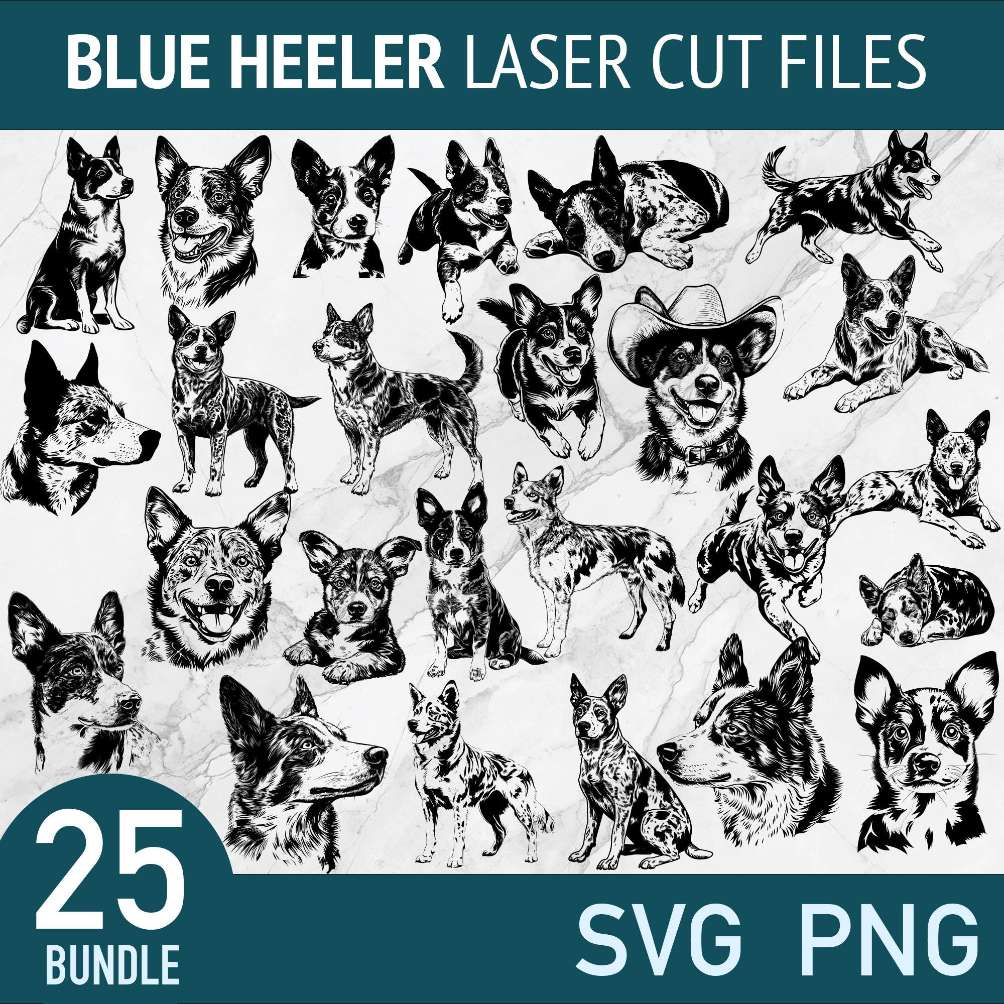 Blue Heeler SVG Bundle: Australian Cattle Dog Vector Clipart (25 Files ...