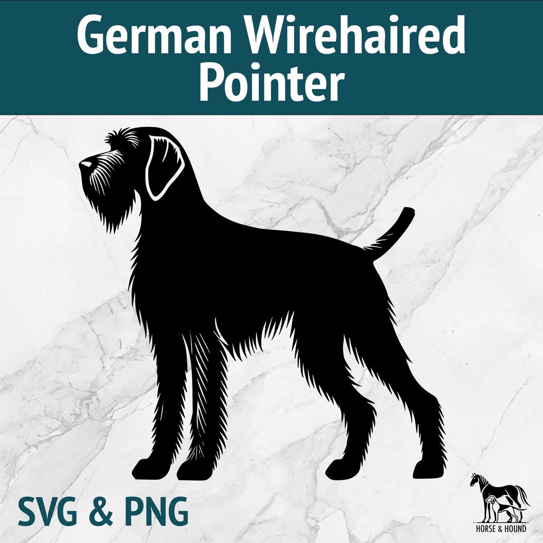 German Wirehaired Pointer SVG: Sporting Dog Silhouette Clipart (SVG ...