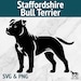 Staffordshire Bull Terrier SVG: Staffy Silhouette Vector Clipart ...