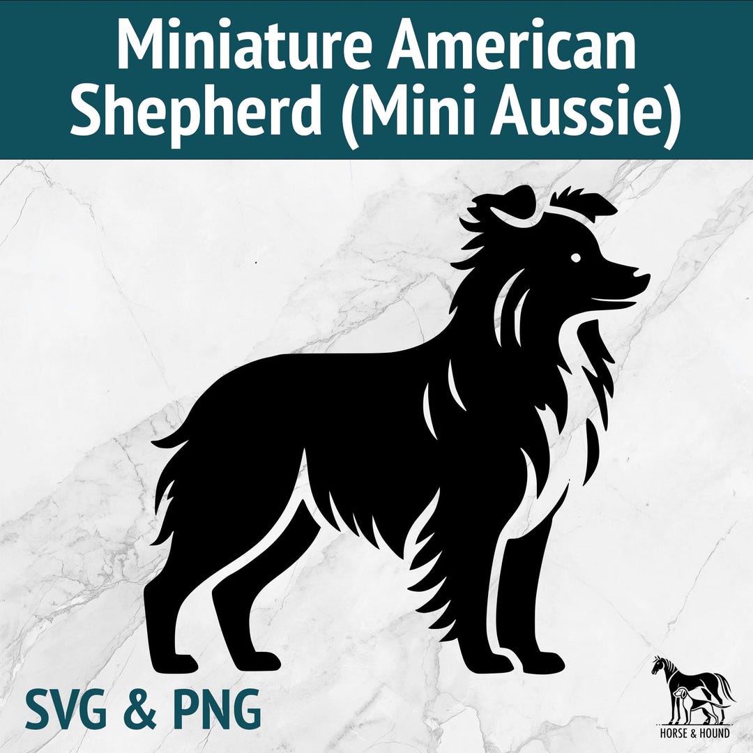 Miniature American Shepherd SVG - Mini Aussie - Dog Breeds Silhouette ...
