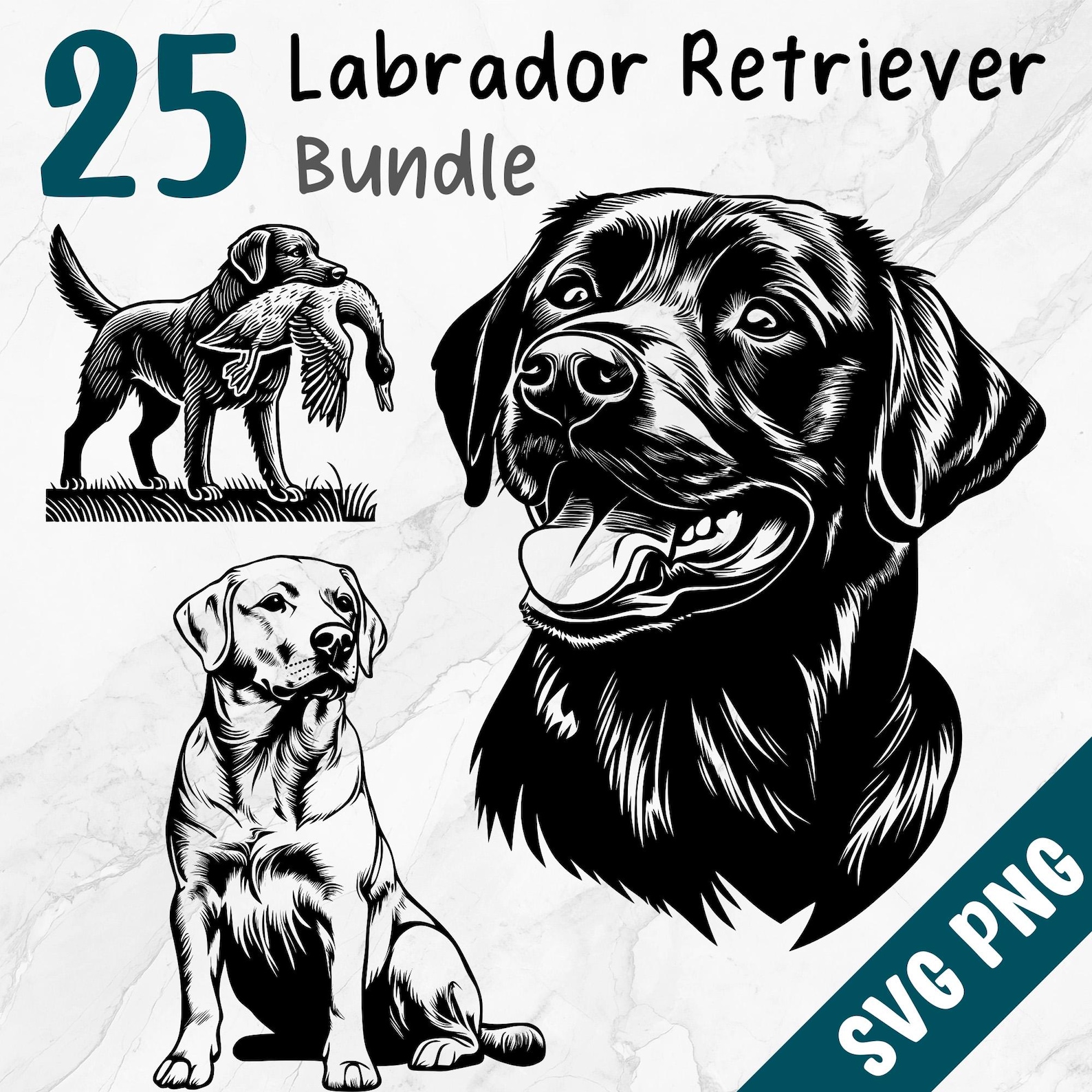 Labrador SVG: Lab Retriever Dog PNG Laser Cut File Bundle Vector Clipart (cricut, Xtool) - Etsy