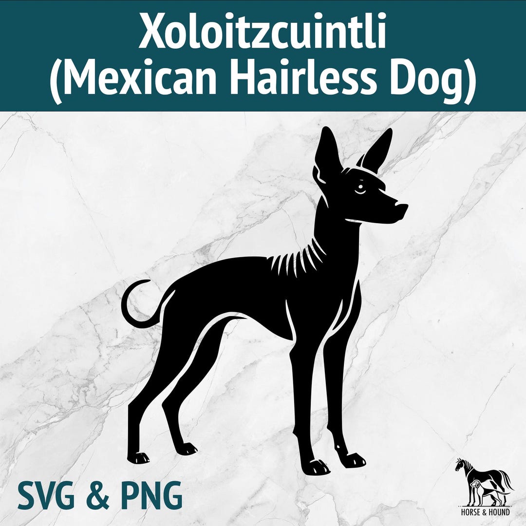 Xoloitzcuintli SVG - Mexican Hairless - Xolo Laser Cut File - Dog ...