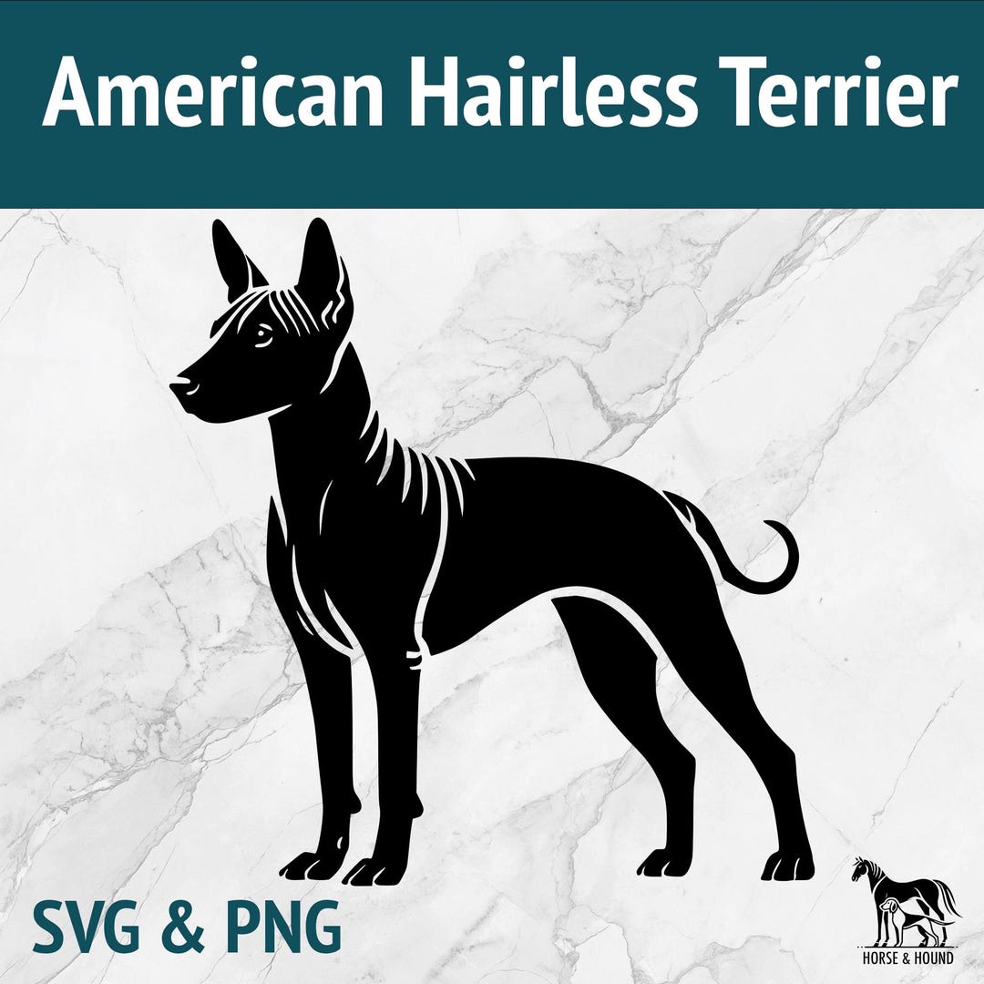 American Hairless Terrier SVG - Dog Breeds Silhouette PNG Vector ...