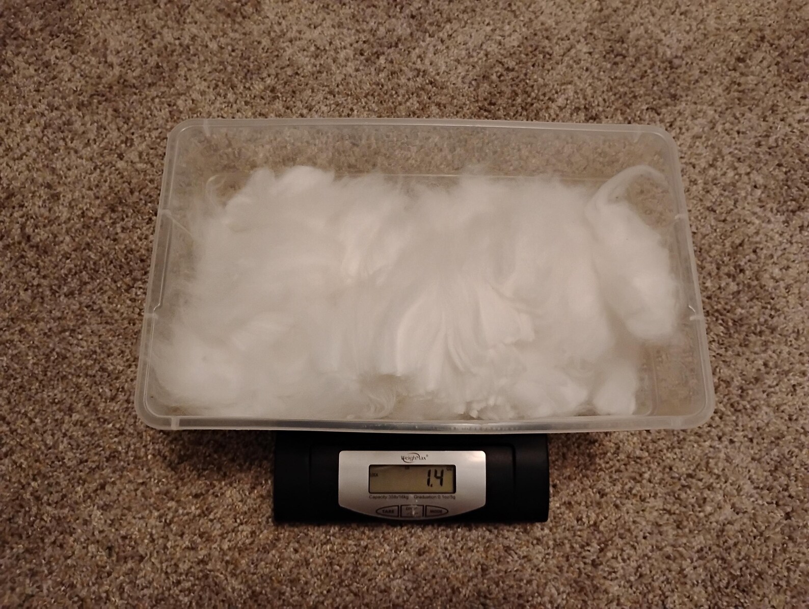 1/2-oz Satin Angora Rabbit Fiber for Hand Spinning, White - Etsy