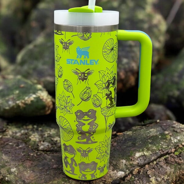 Princess and the Frog Stanley Cup - Etsy