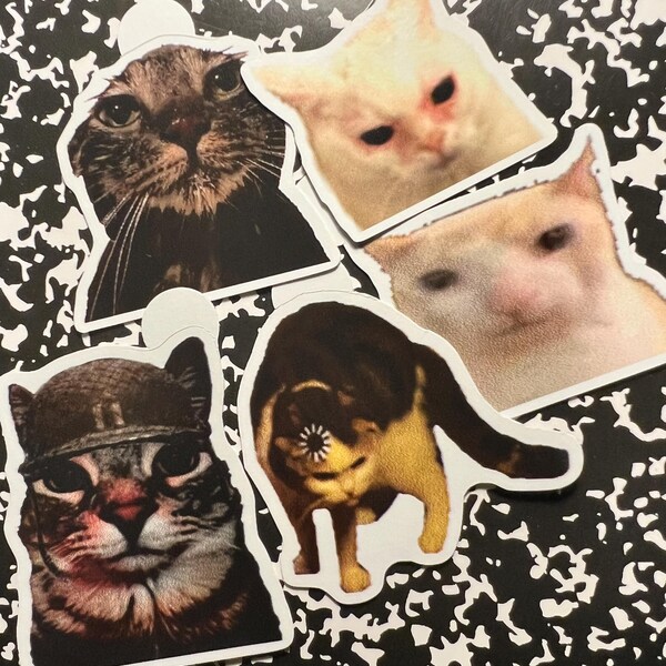 Cat Meme Stickers - Etsy