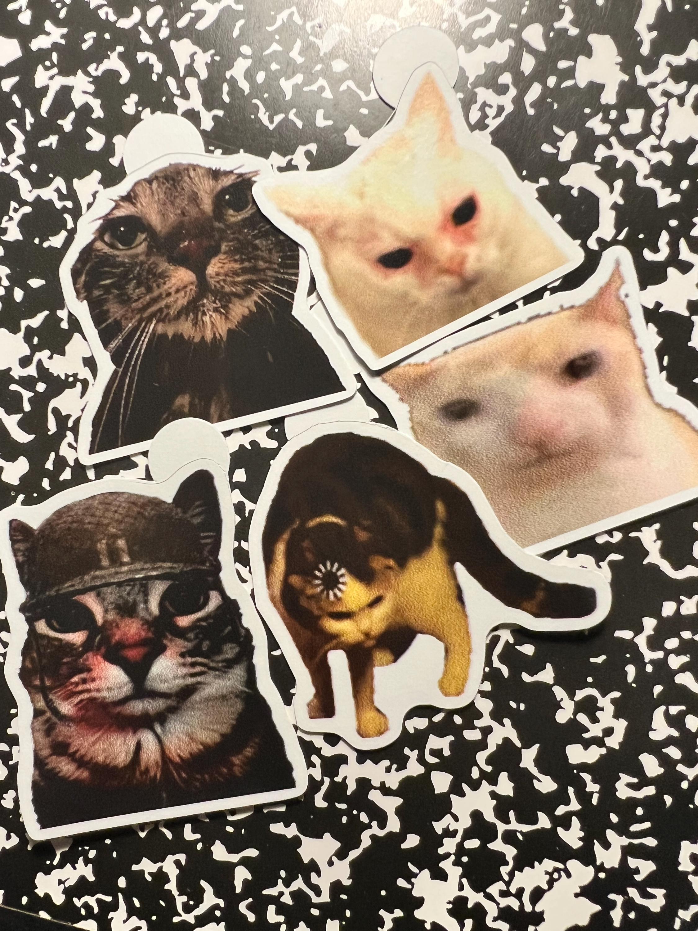 Cat Meme Stickers - Etsy