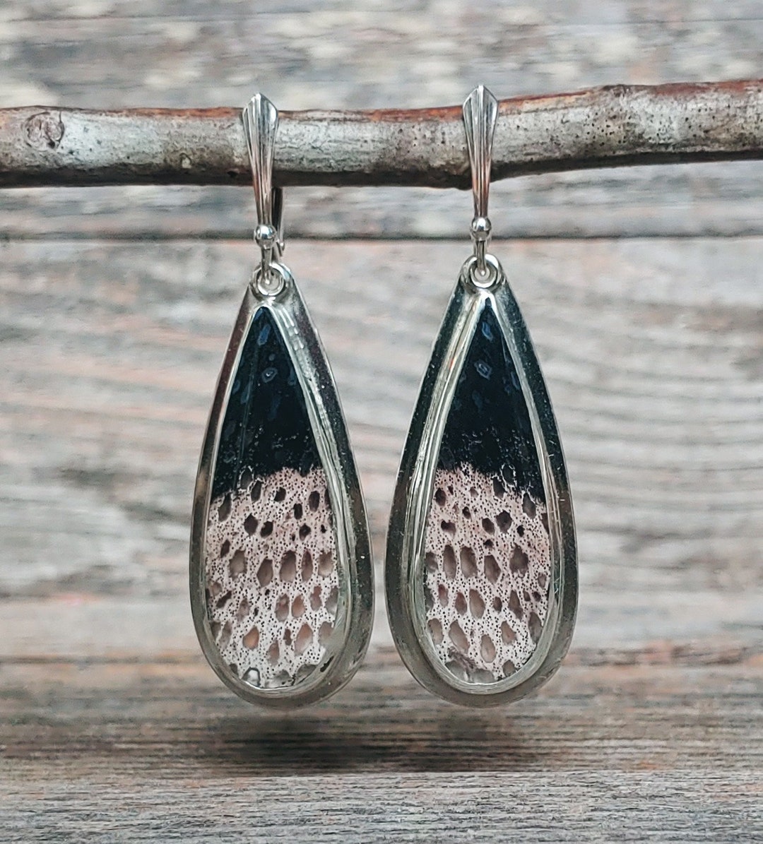 Sterling Silver Fossil Palm Root Stone Earrings - Etsy