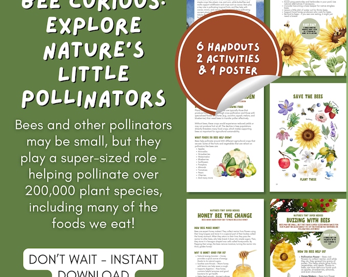Bees & Pollinators Homeschool Printable: Nature Education (PDF) - Etsy