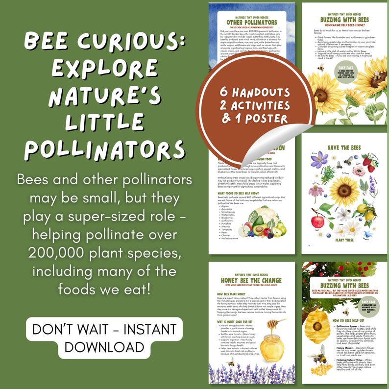 Bees & Pollinators Homeschool Printable: Nature Education (PDF) - Etsy