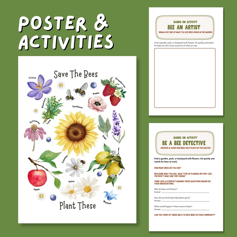 Bees & Pollinators Homeschool Printable: Nature Education (PDF) - Etsy