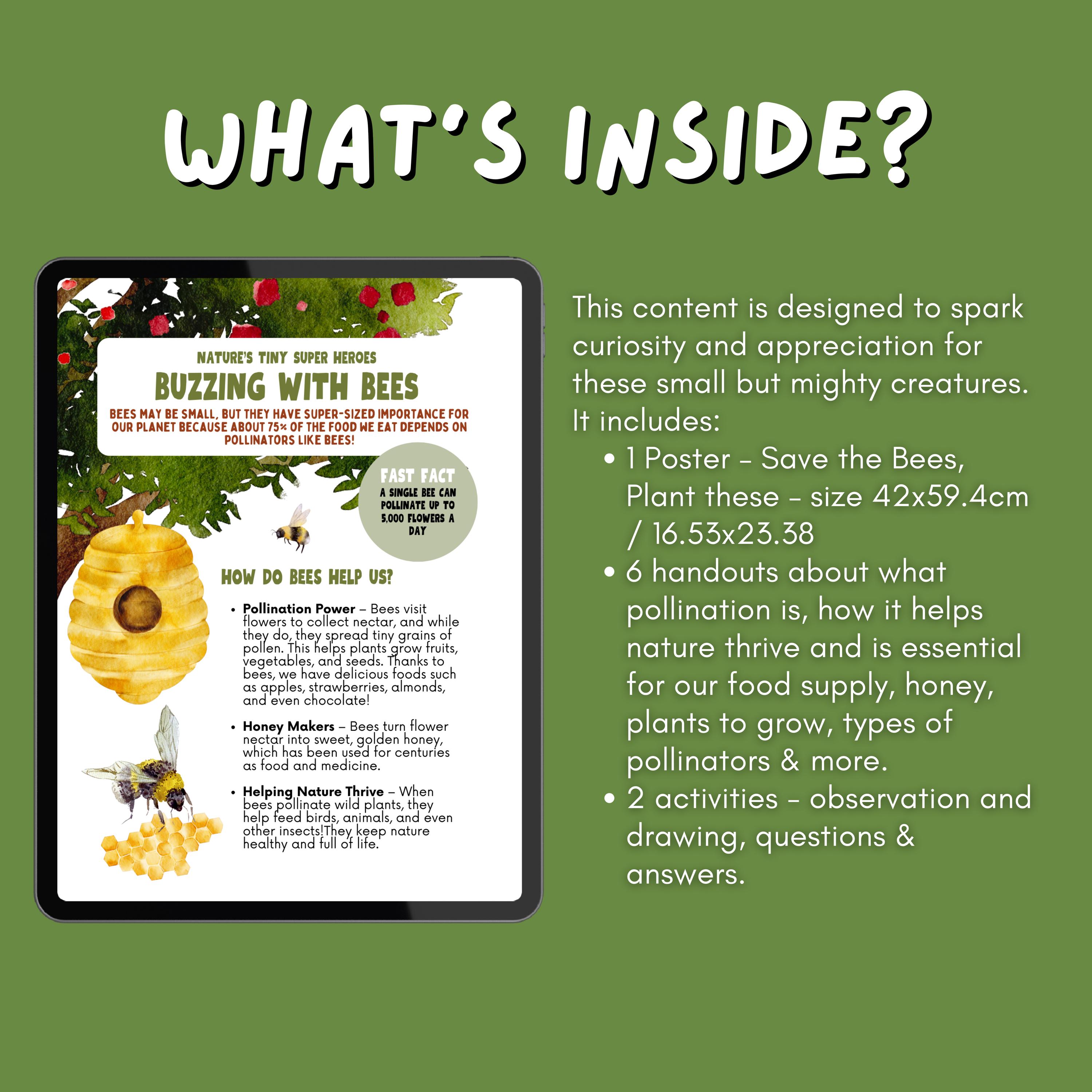 Bees & Pollinators Homeschool Printable: Nature Education (PDF) - Etsy