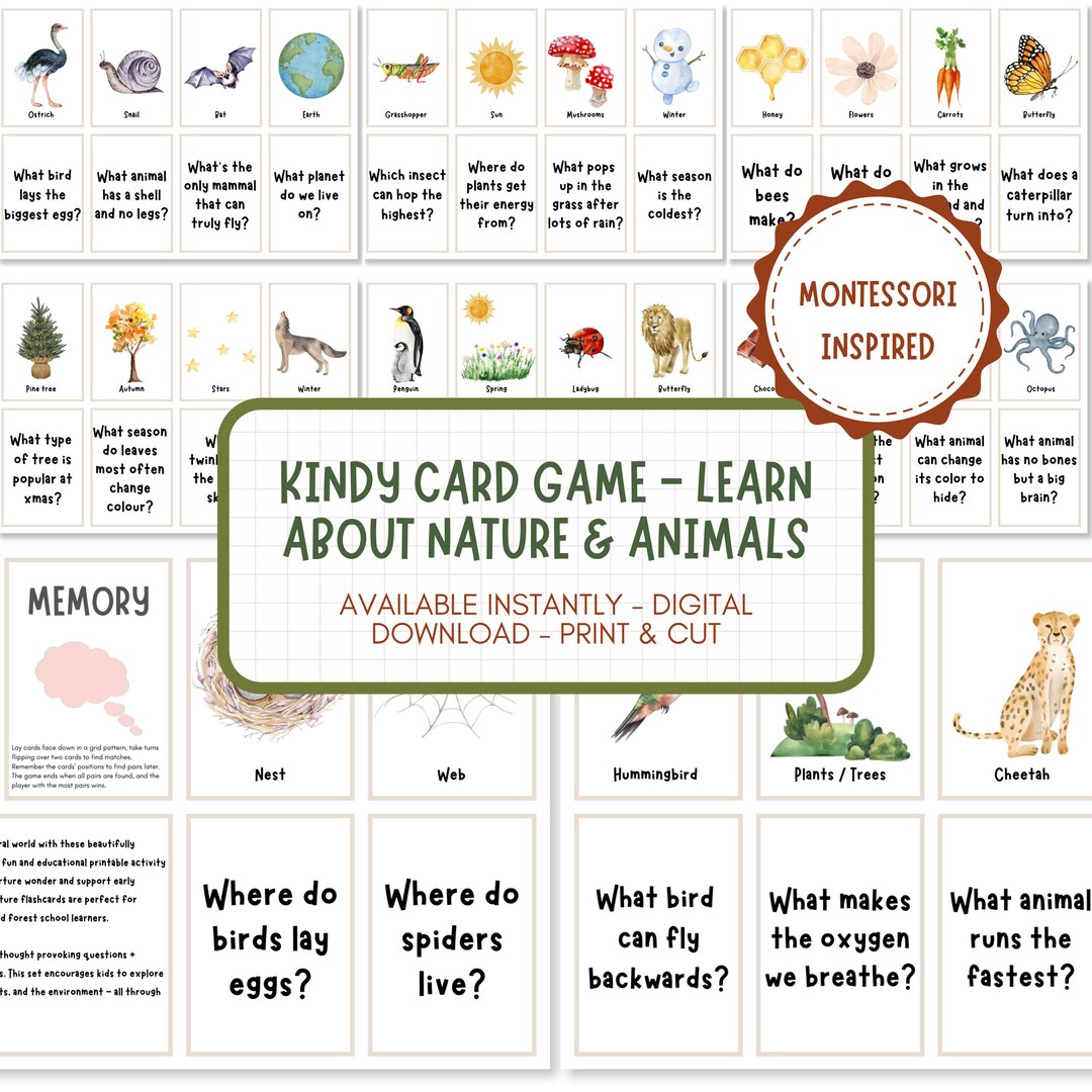 Preschool Nature Match Flashcards Game – Fun Montessori Inspired ...