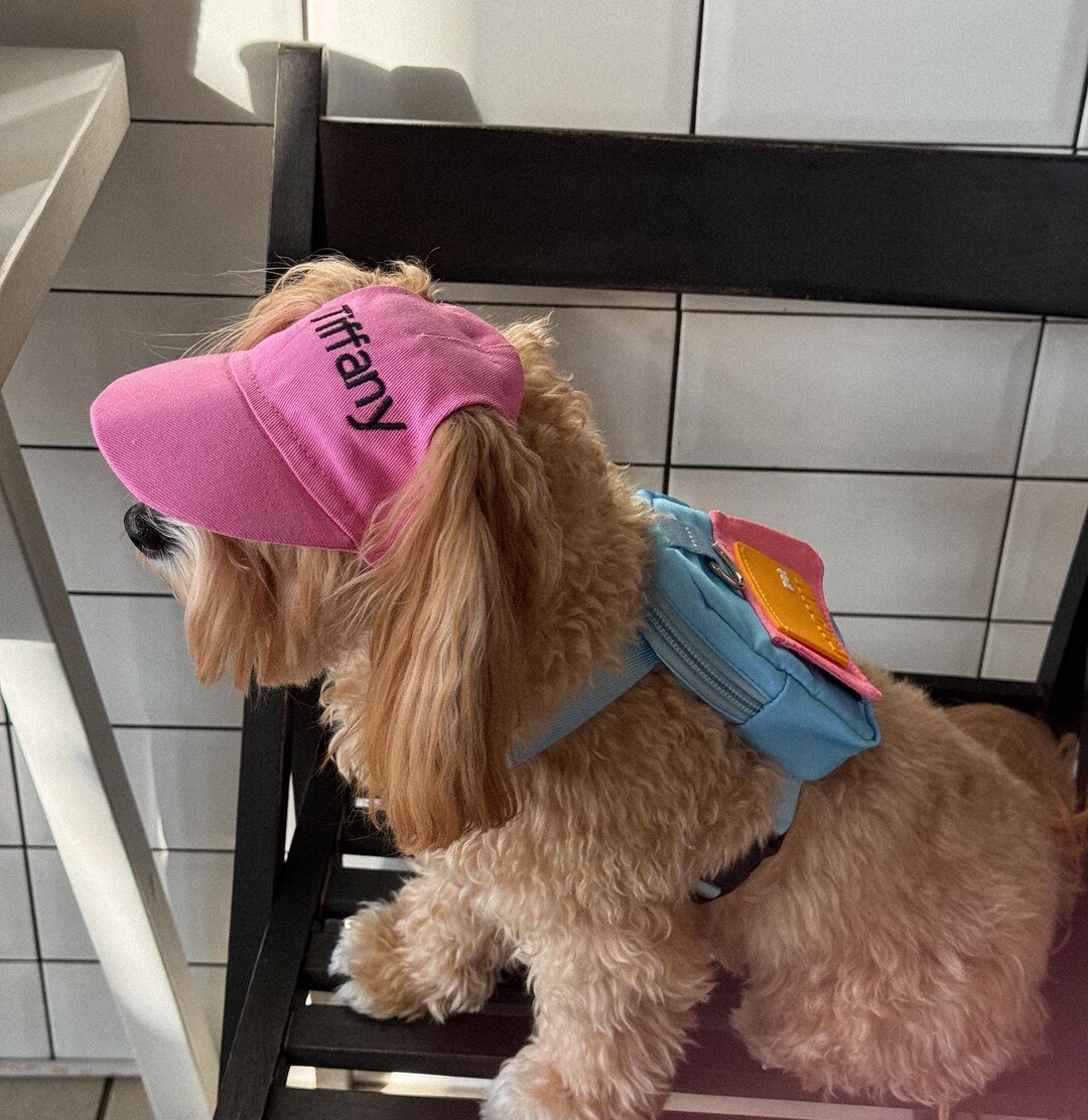 Custom Embroidered Dog Cap: Summer Pet Sun Hat - Etsy