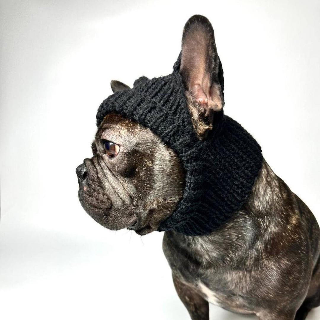 Knitted Dog Hat With Ears – Custom Fit & Handmade Winter Warmth - Etsy