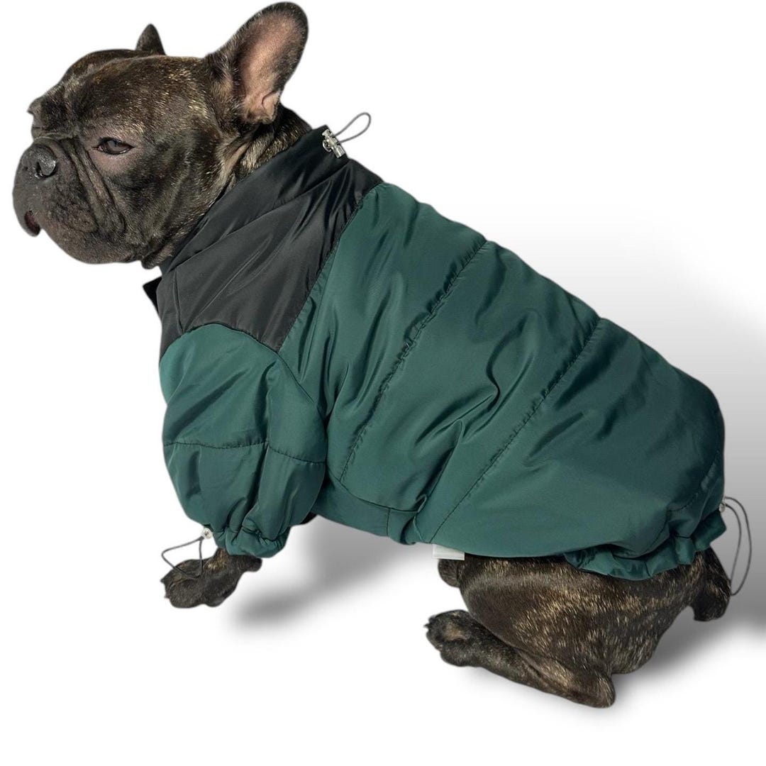 Custom Dog Puffer | Handmade Personalized Coat for Small to Large Dogs ...