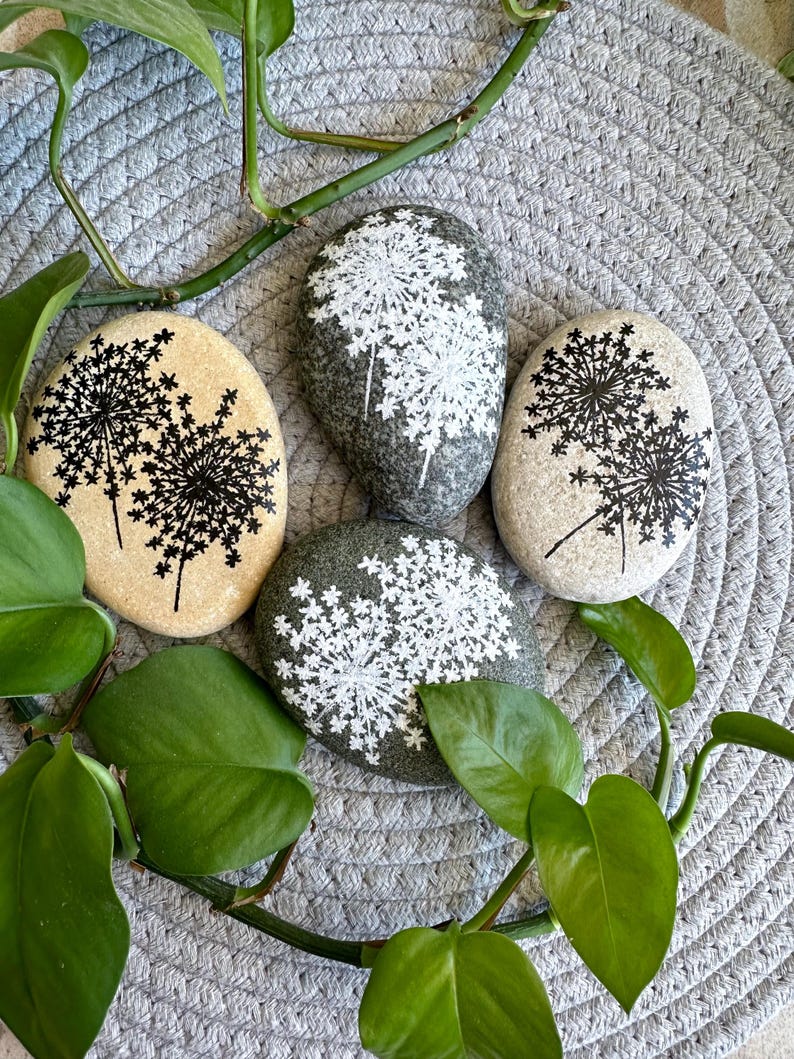 Hand Painted Pebbles - White or Black Dandelions on Sea Stone ...