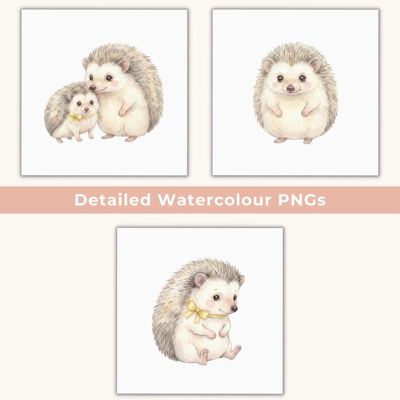 Baby Hedgehog Clipart Bundle PNG, Watercolour Hedgehog Nursery Graphics ...