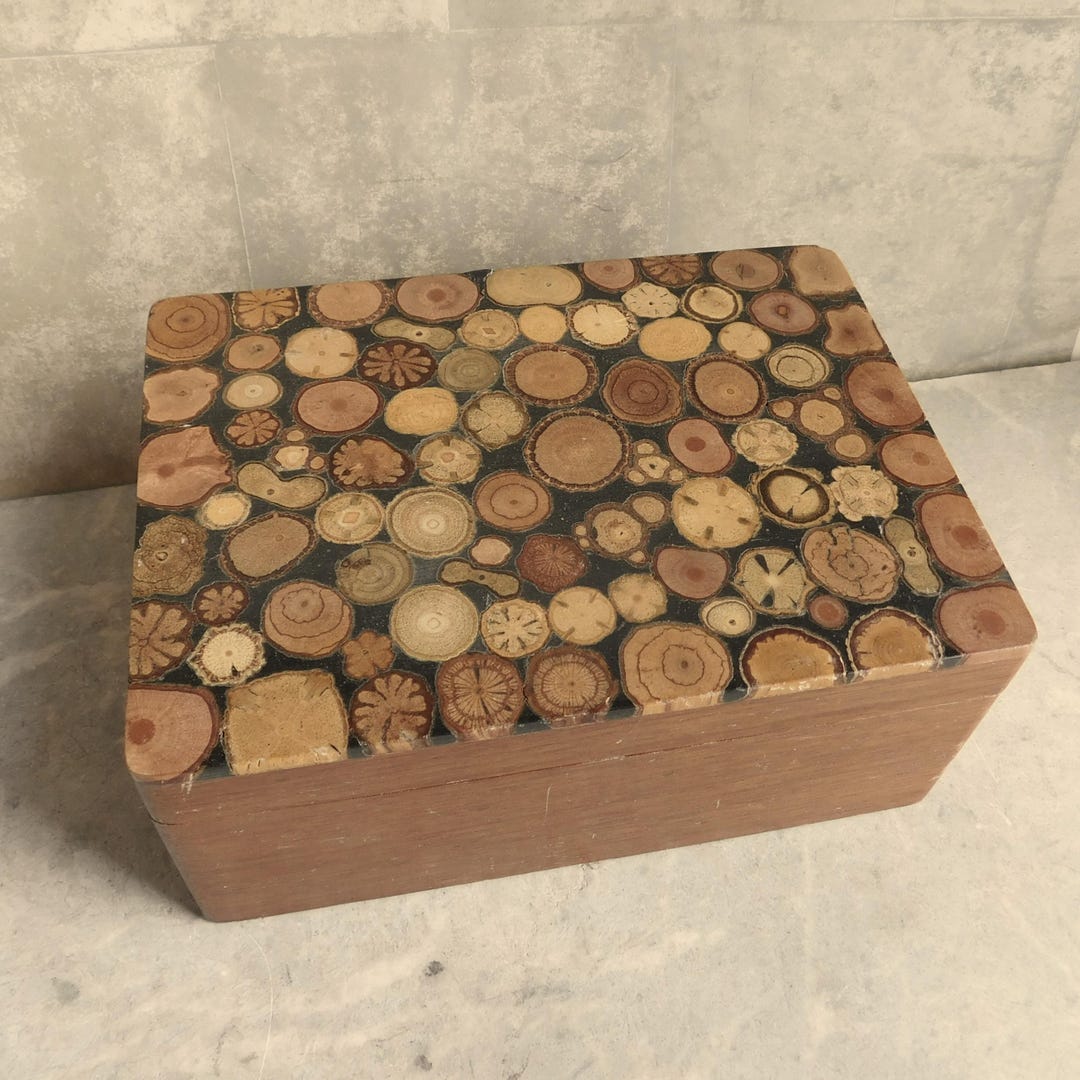 Vintage Sliced Wood Inlay Box - Small Limb Cross Section Mosaic - Large ...